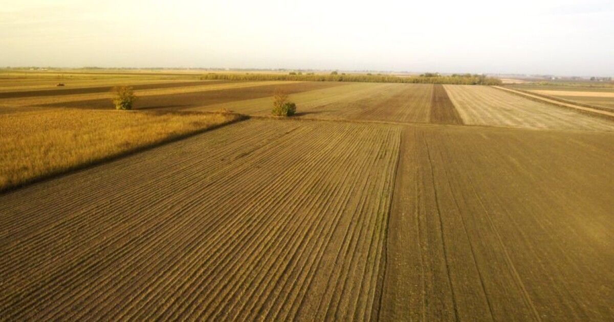 У волинянки забрали землю вартістю майже 7 5 мільйона гривень